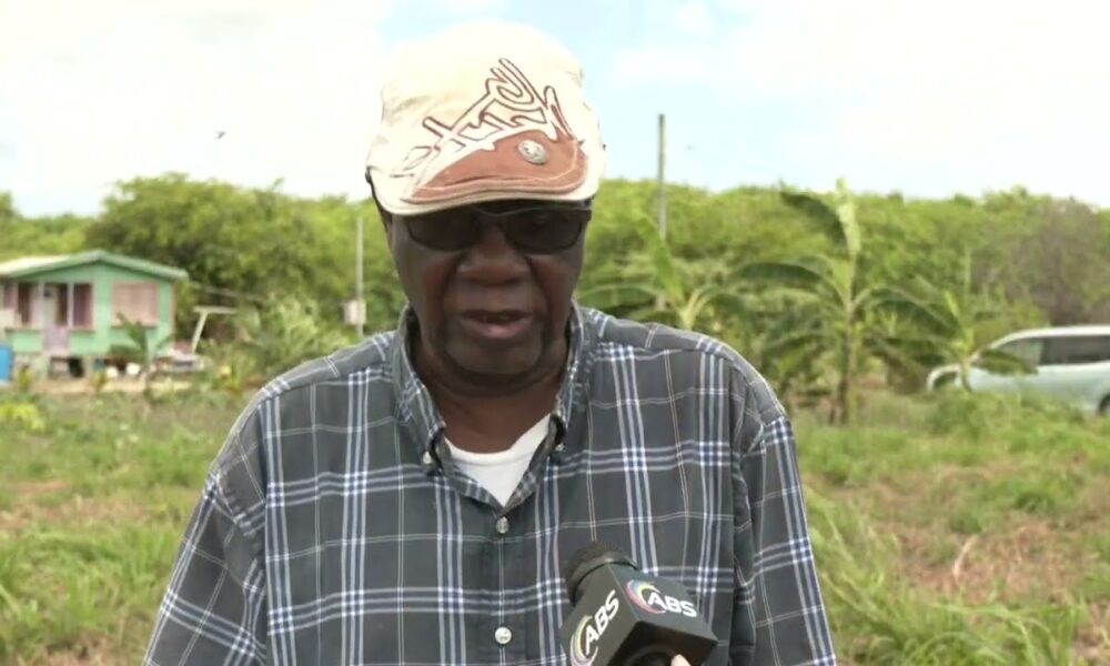 PENSIONERS’ ASSOCIATION PROVIDES UPDATE ON FARMING INITIATIVE - ABS TV ...