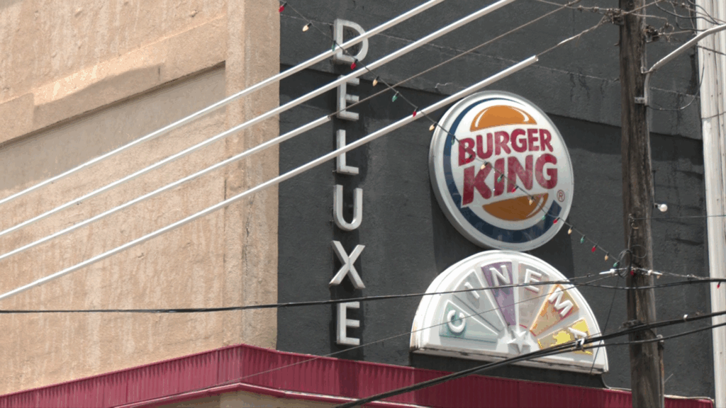 MAJOR PROJECT IN PROGRESS TO TRANSFORM DELUXE CINEMA INTO PERFORMING ...