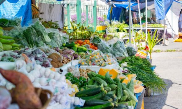 FOOD IMPORTS TO BE REDUCED BY 15% - ABS TV Radio Antigua & Barbuda