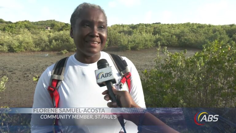 RESIDENTS SUPPORT CRUCIAL WETLANDS CLEAN-UP INITIATIVE IN ST PAUL - ABS ...